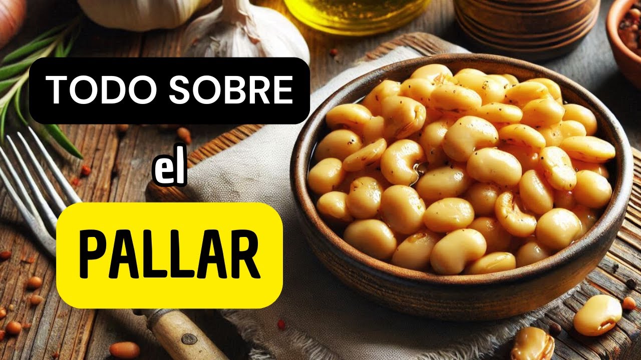 Pallar: El Superalimento que Revolucionará tu Salud | Beneficios, Mitos ...
