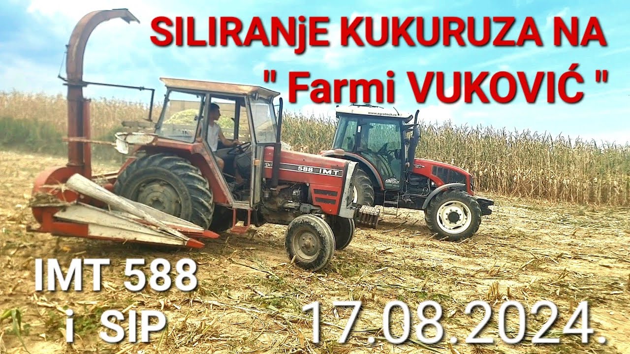 Siliranje Kukuruza na Farmi VUKOVIC | Imt 588 i Sip sk 80 | ArmaTrac ...