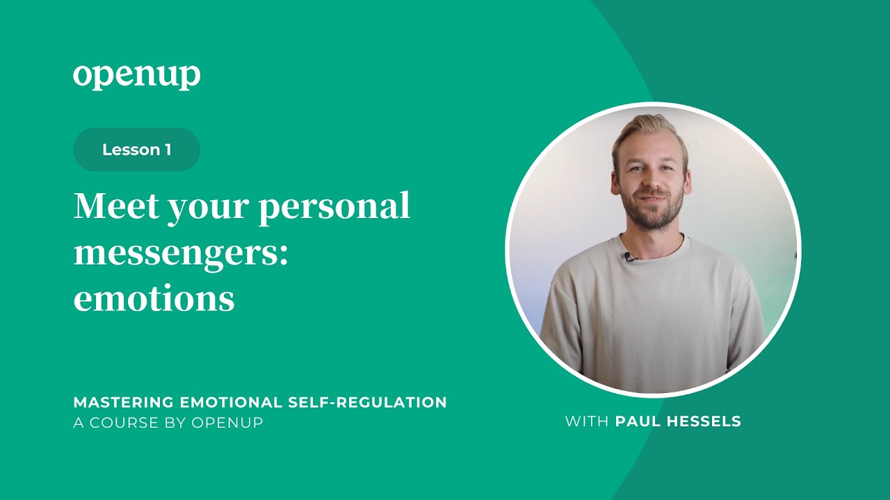 Mastering emotional self-regulation (1) | Meet your personal messengers ...