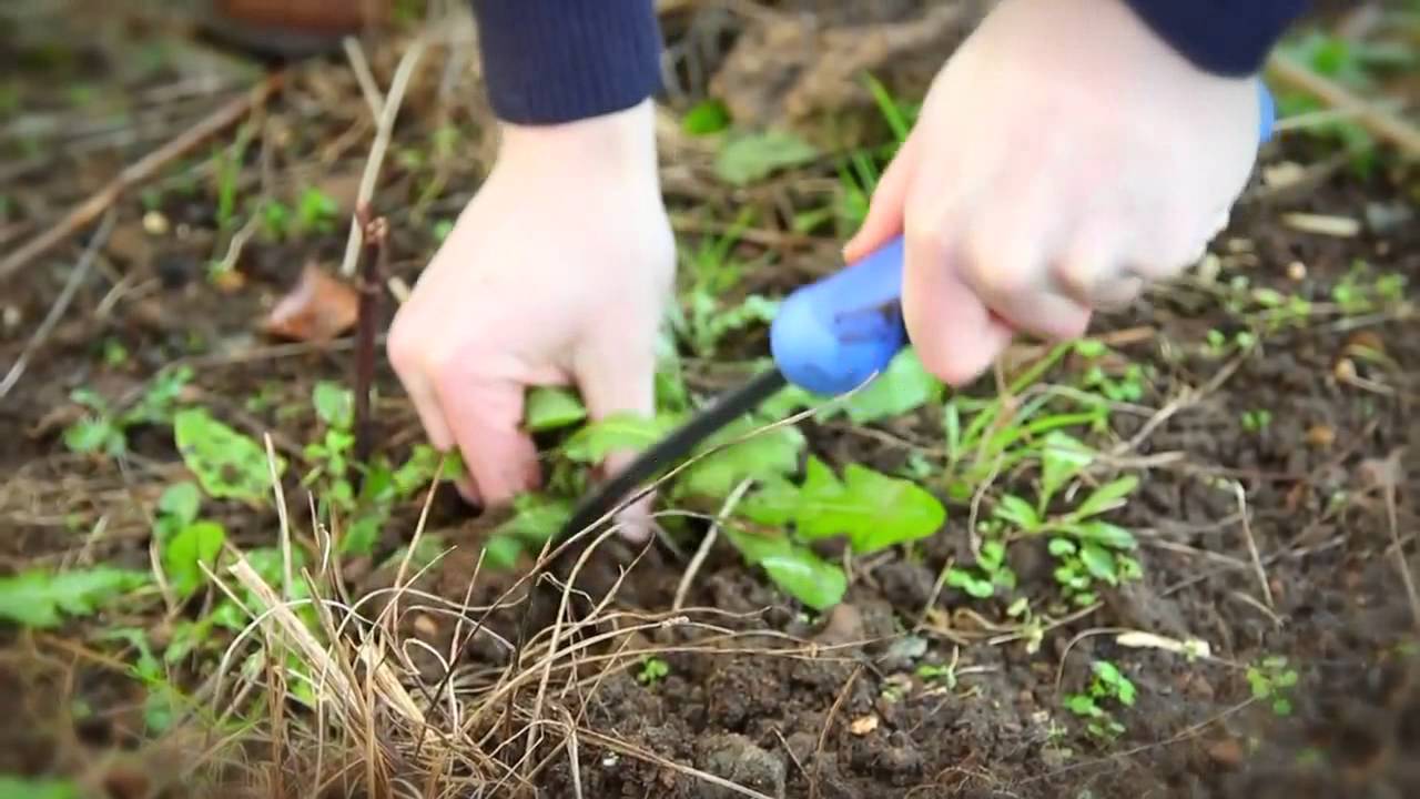 Cultimate Grumpy Gardener - YouTube