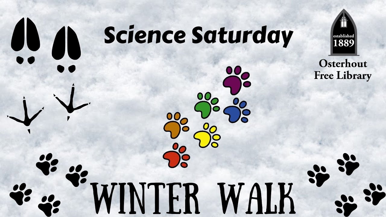Science Saturday: Winter Walk - YouTube