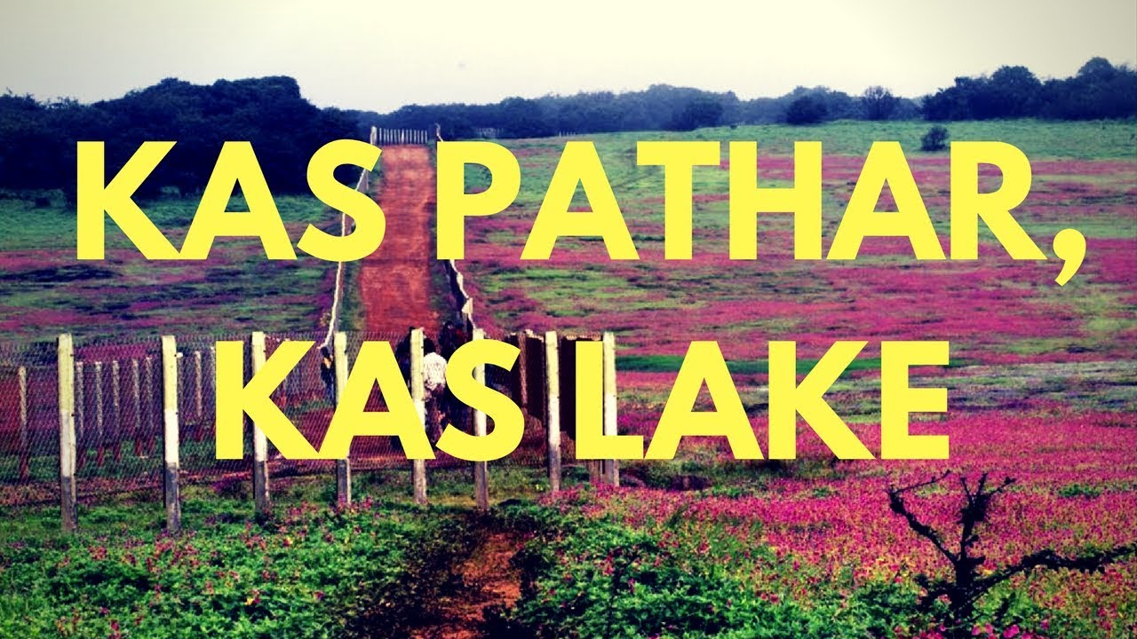 Kas Pathar Satara ( कास पठार सातारा, कास तलाव ) | Kas Lake - YouTube