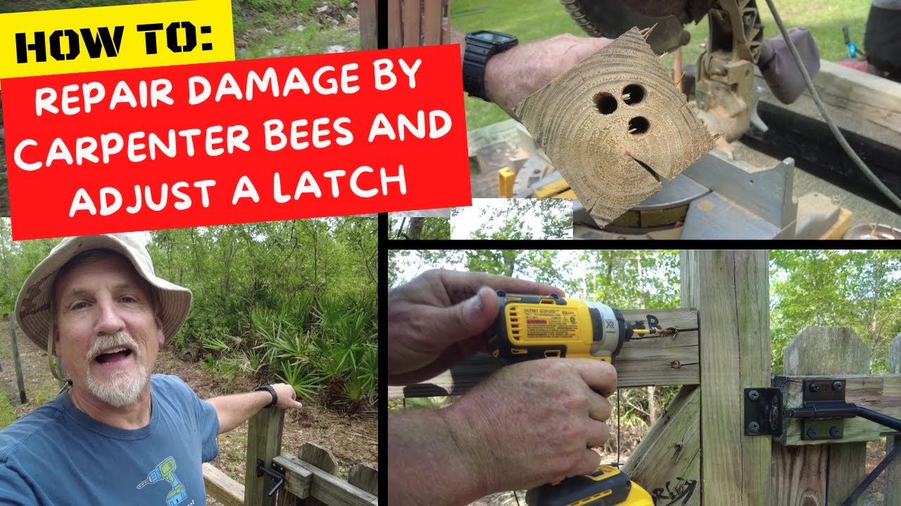 Repairing Damage In Wood By Carpenter Bees | Adjust Fence Gate Latch ...