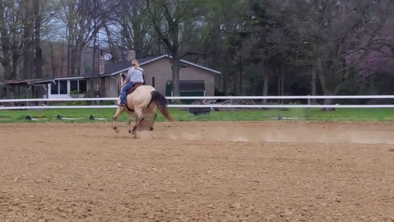 Mike roberts buckskin - YouTube