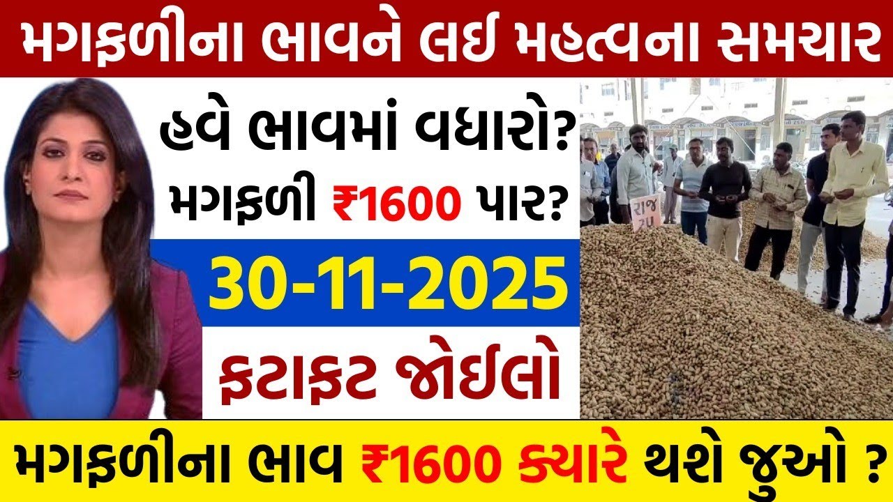 🔥મગફળીના ભાવમાં જોરદાર તેજી🔥| 30-11-2025 | magfali na bhav | આજના ...