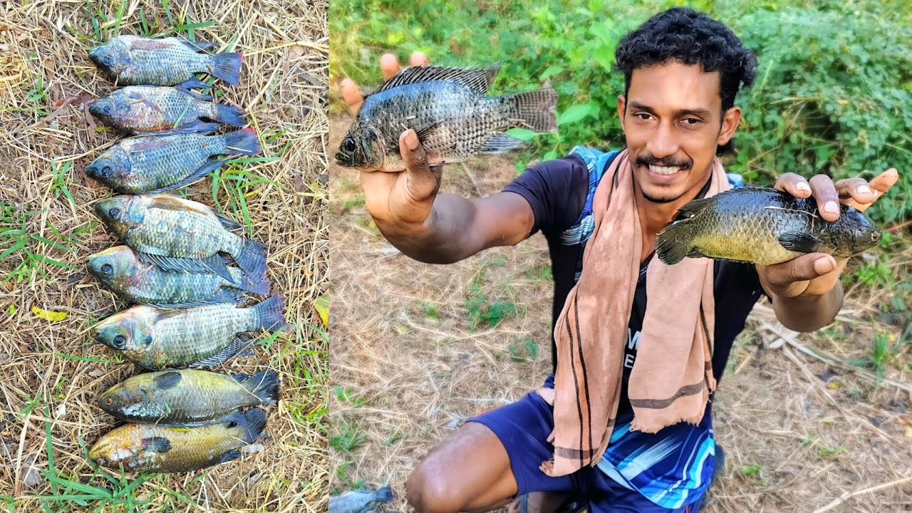 പ്രേതീക്ഷ തെറ്റിച്ചു വലയിൽ കിട്ടിയ മീനുകൾ 🐟 | Fishing vlog | EP- 28 ...