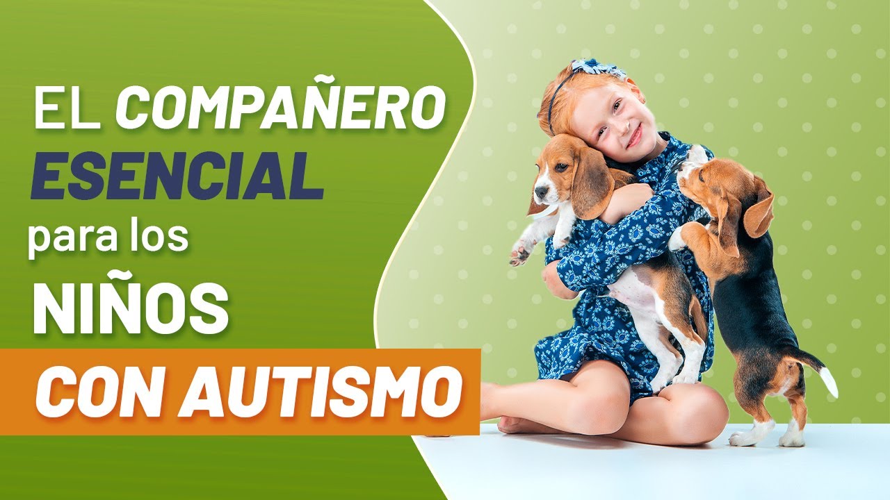 Los perros de asistencia ofrecen apoyo en socializar a los niños con ...