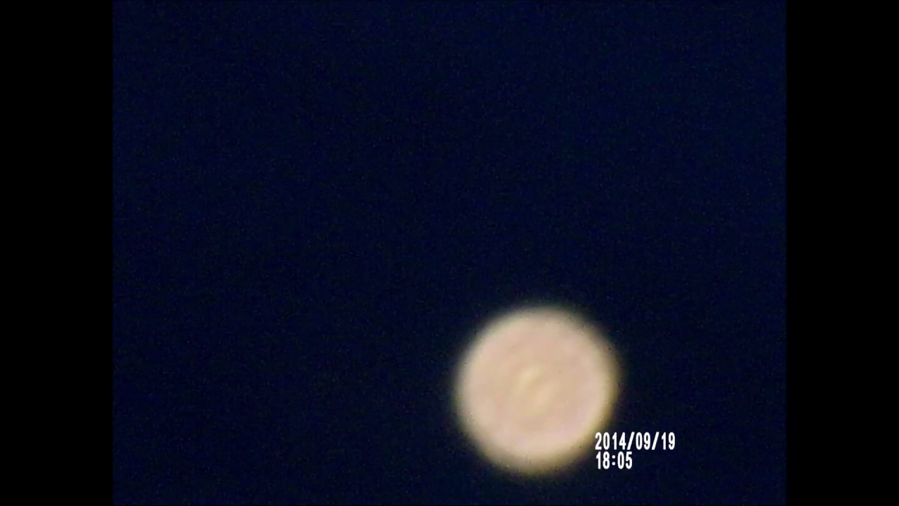 orbovi vo Makedonija Veles - YouTube