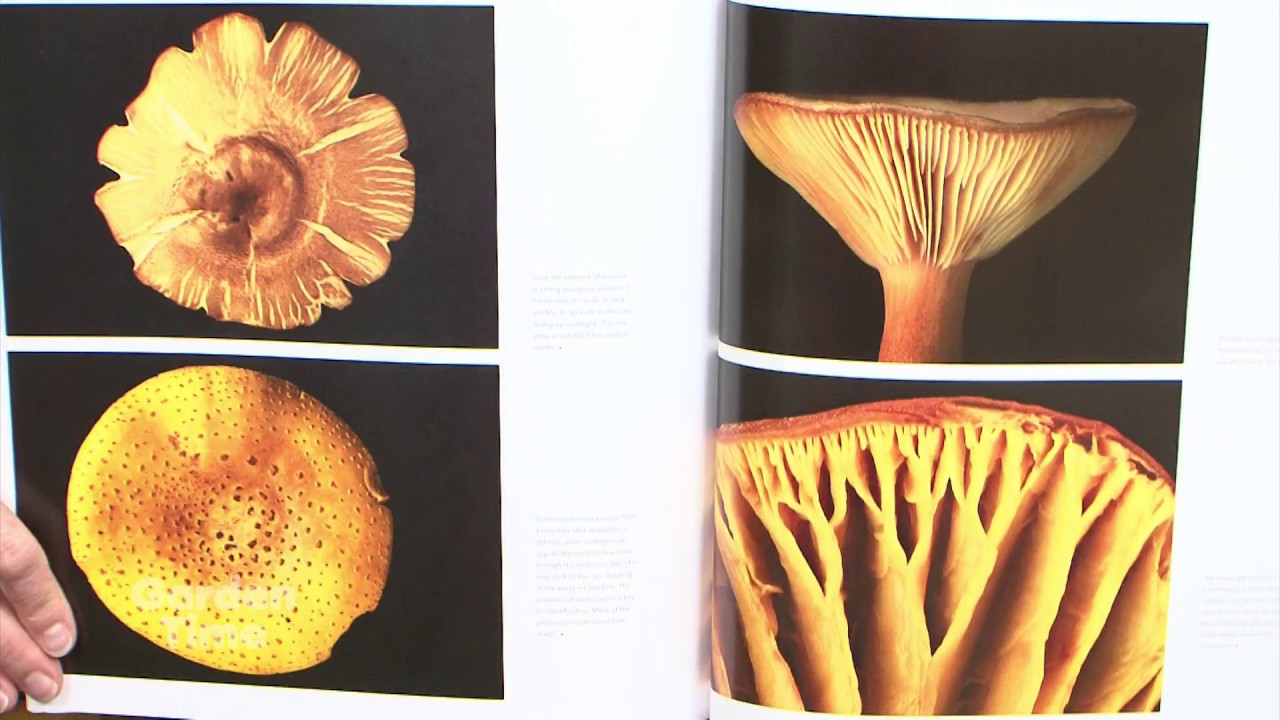 Timber Press Garden Books - YouTube