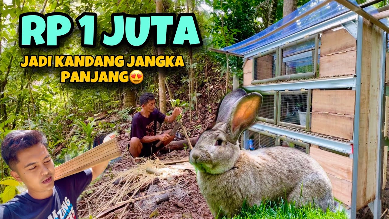 PEMBUATAN KANDANG UNTUK TERNAK KELINCI PEDAGING || DAILY VLOG || GE ...