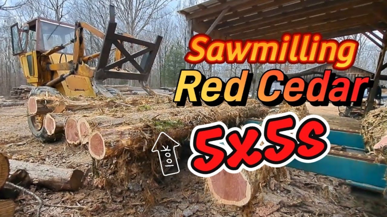 saw-milling red cedar 5x5s #sawmilling #sawmill - YouTube