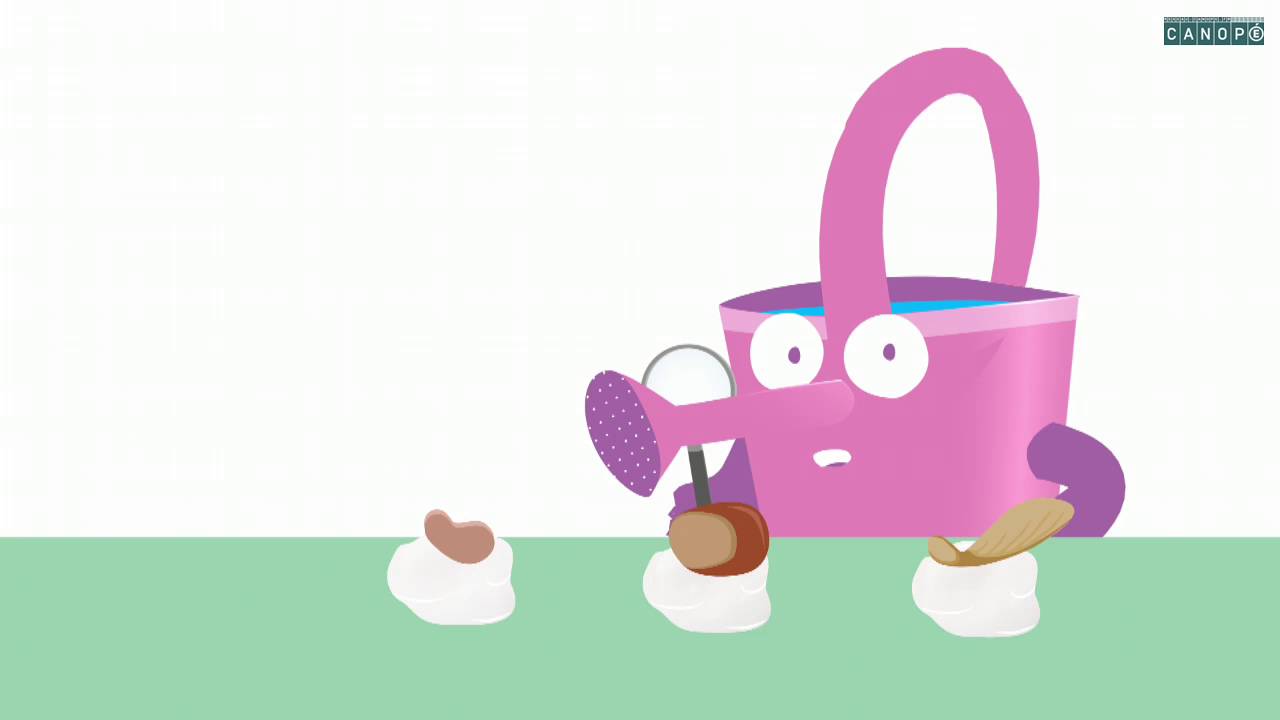 le developpement des vegetaux de la graine a la plante - YouTube
