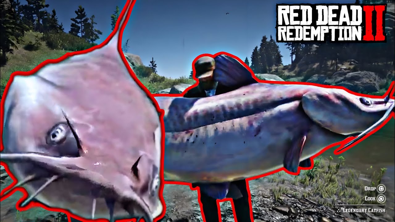 O GRANDE MISTÉRIO DO BAGRE LENDÁRIO (SOLUCIONADO) - YouTube