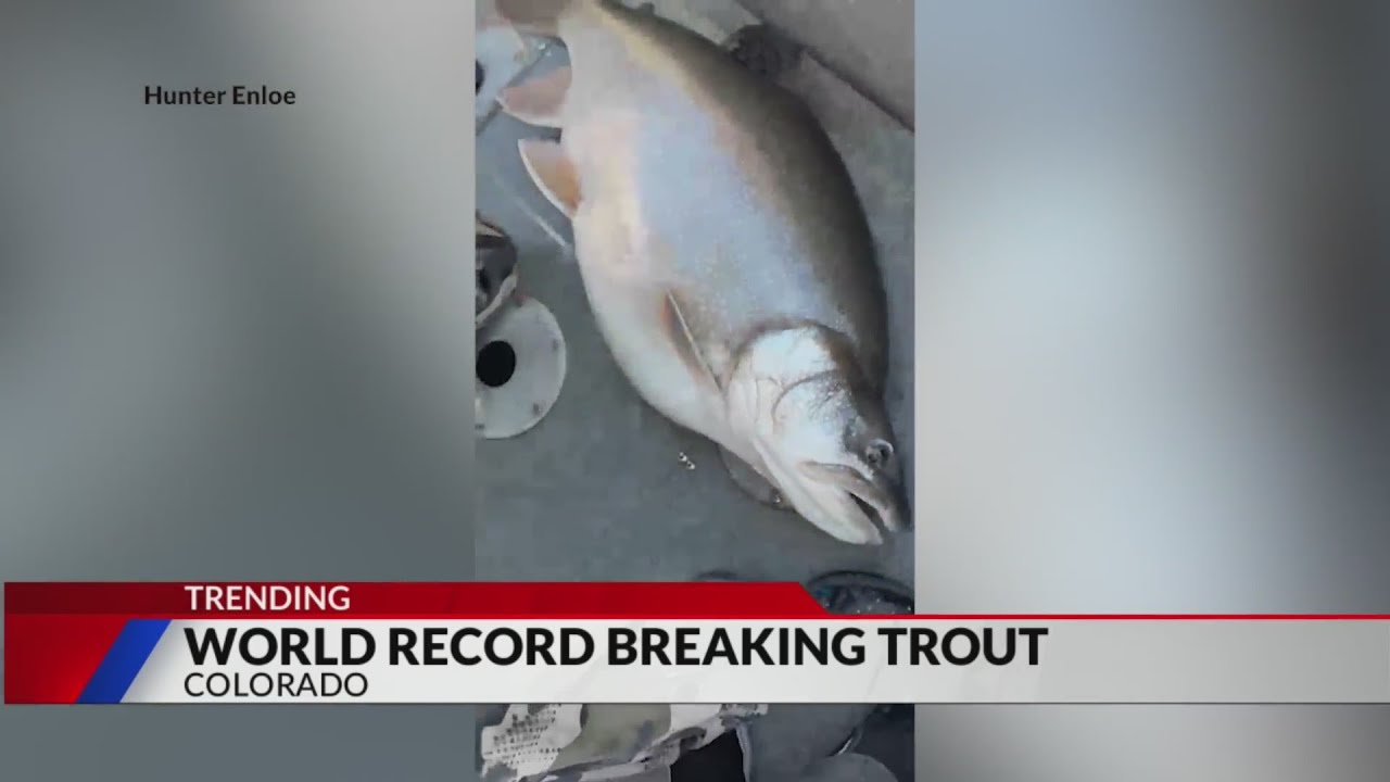 Man catches world record breaking trout - YouTube