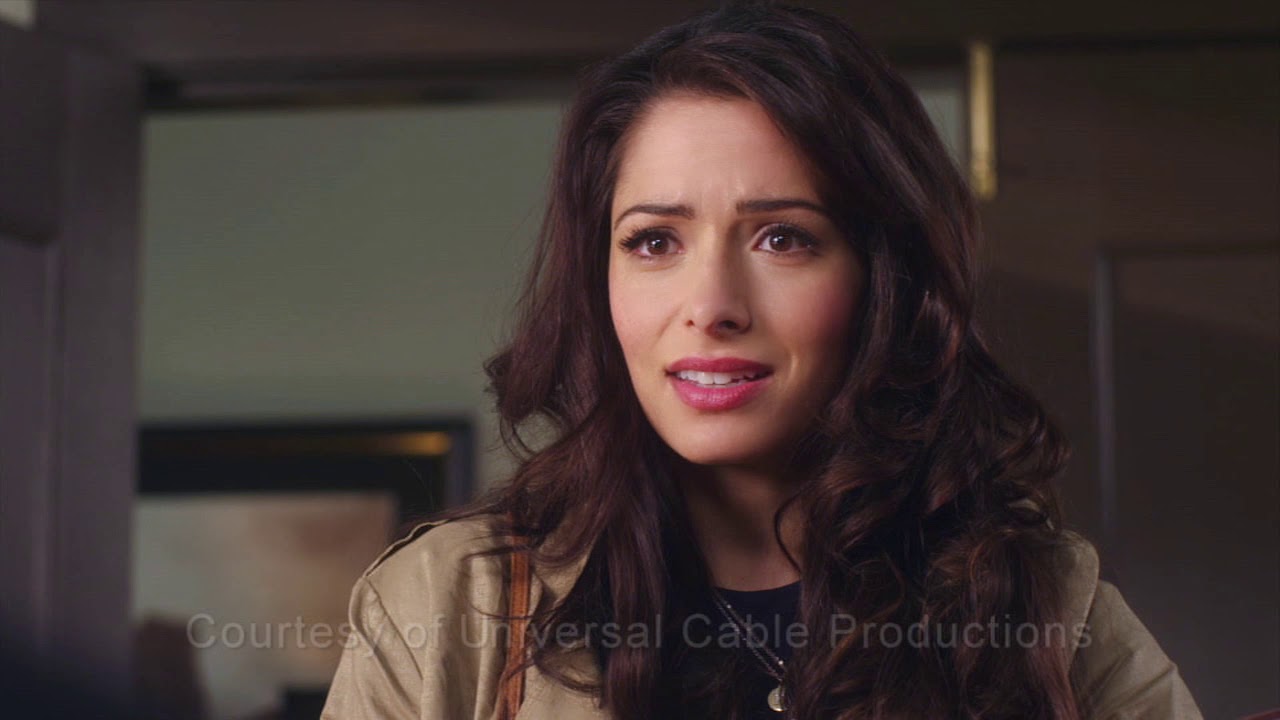 Dan Palumbo LEGAL - YouTube