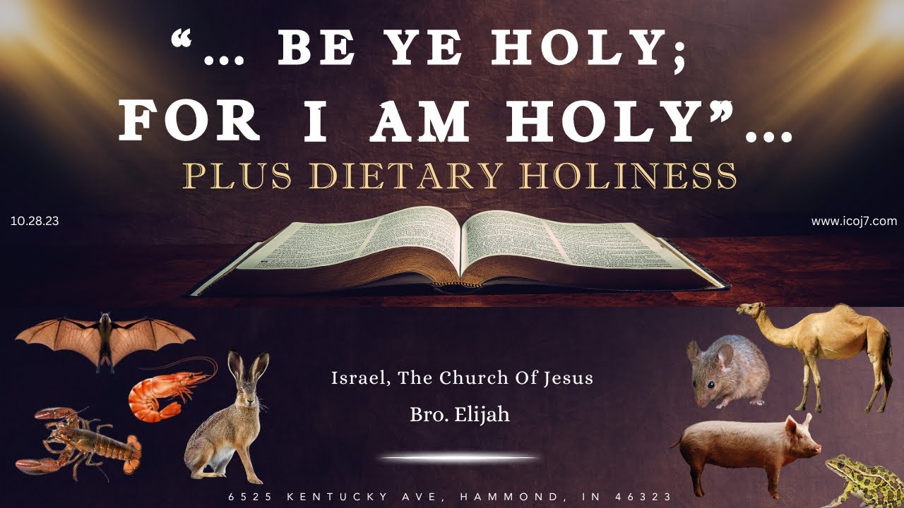 BE YE HOLY; FOR I AM HOLY”...PLUS DIETARY HOLINESS - YouTube