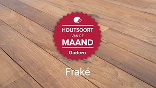 Fraké hout | Alle informatie & eigenschappen - Gadero