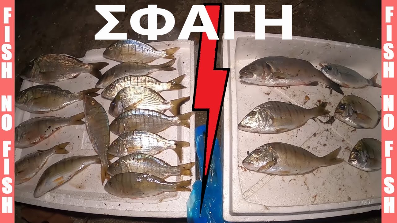 Ψάρεμα μουρμούρας, σαργού σε μακρινά μέρη - YouTube