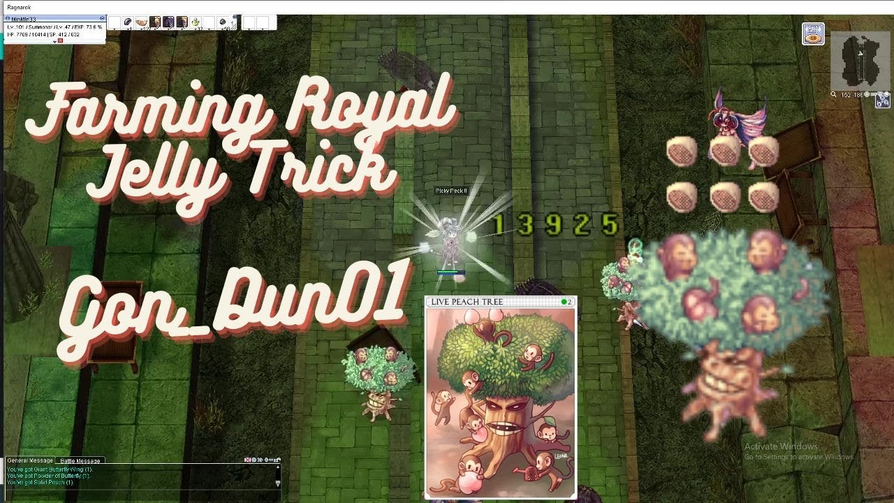 Ragnarok Online - How I farm Royal Jelly 😊 - YouTube