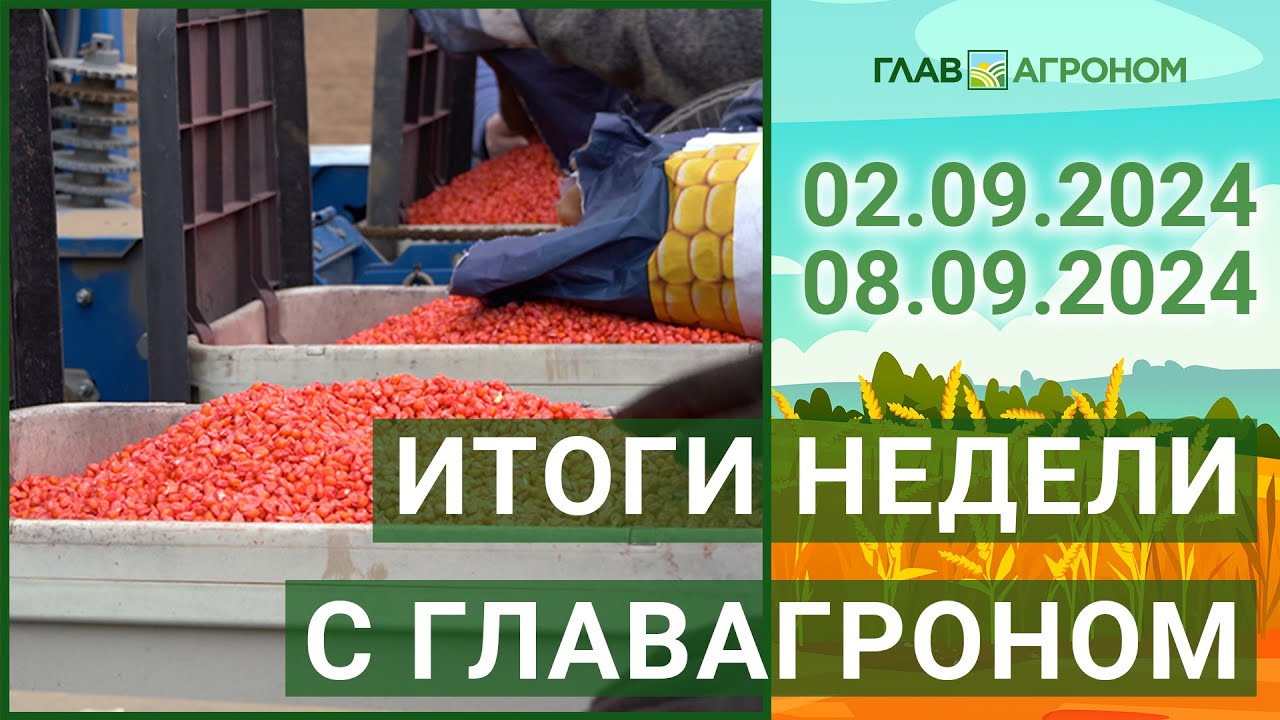 Итоги недели с ГлавАгроном. 02.09.2024 - 08.09.2024 - YouTube