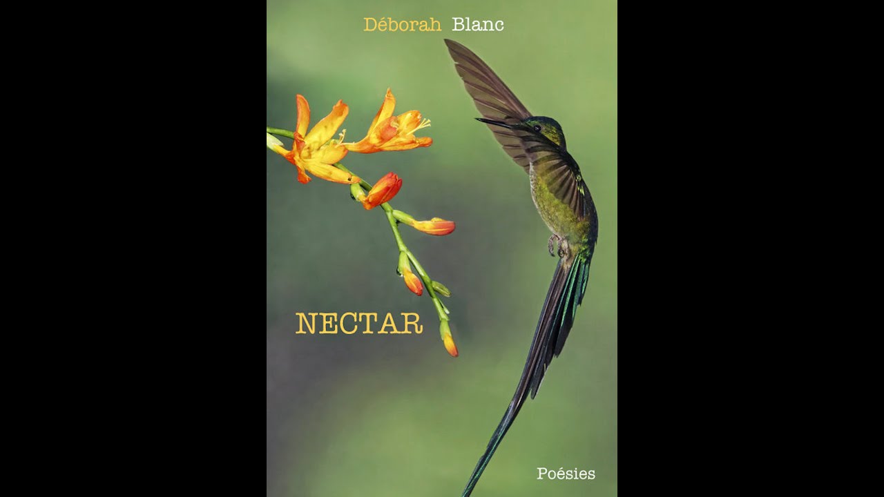 NECTAR - YouTube