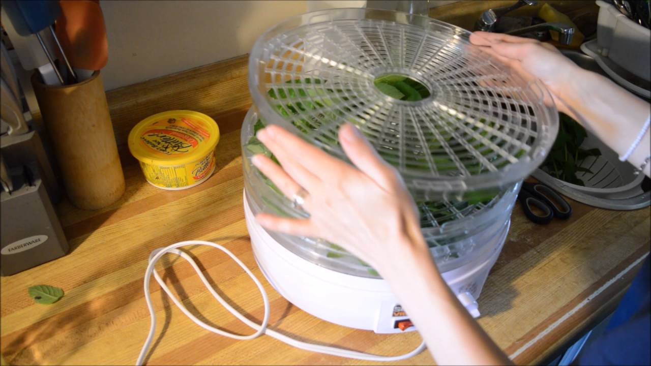 Dehydrating Mint - YouTube