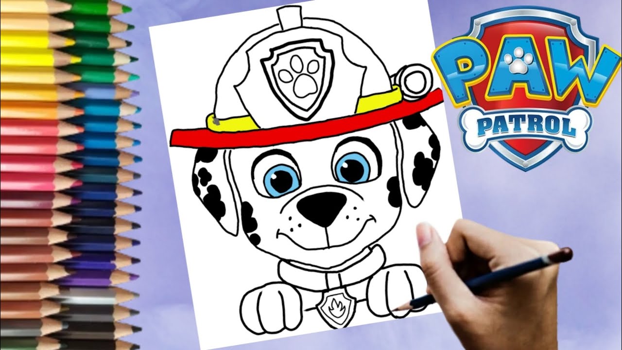 How to draw Paw Patrol Marshall ｜step by step - YouTube