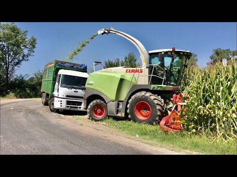 CLAAS JAGUAR 940 | 8 SIRA MISIR BİÇMEK KOLAY DEĞİL - CORN SİLAGE 2021
