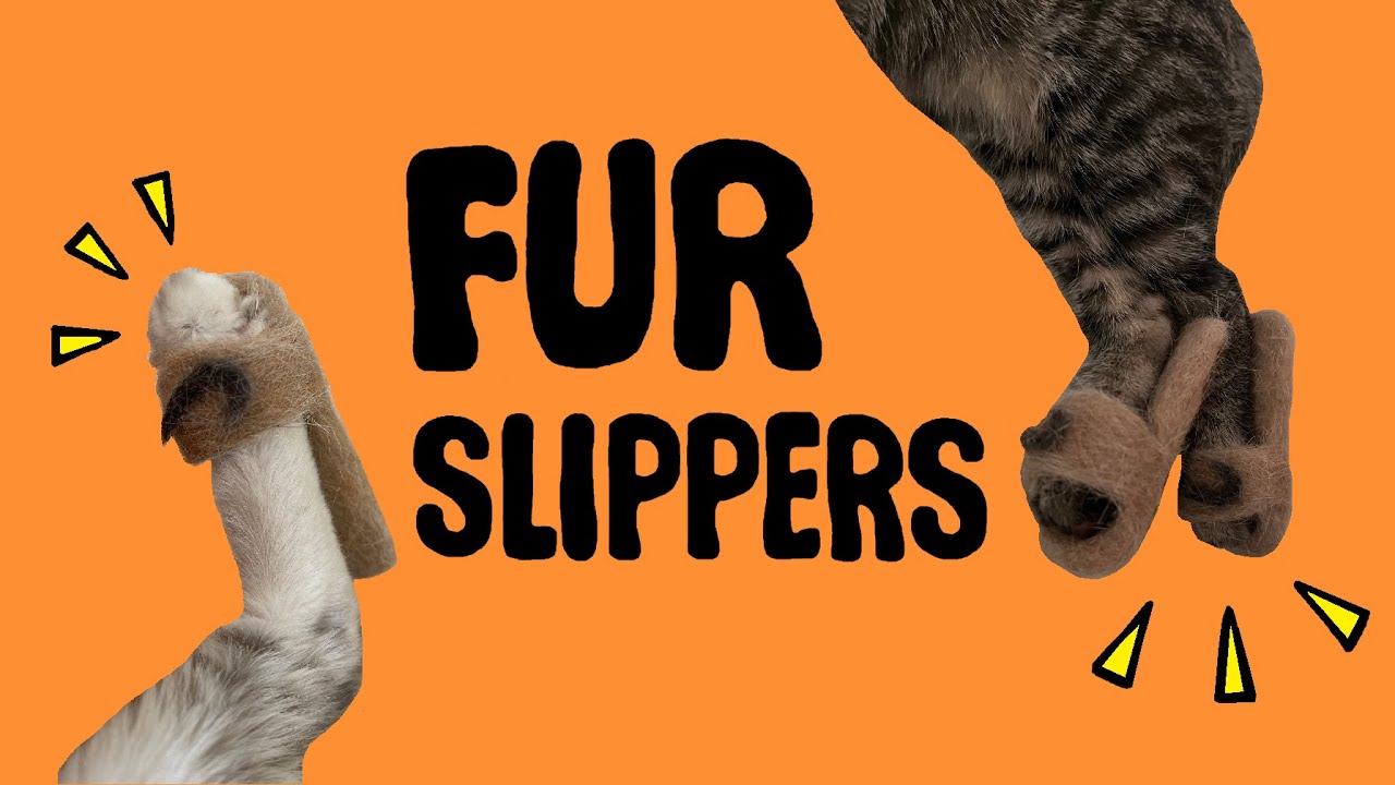 CREATIVE WAY TO RECYCLE CAT FUR | FUNNY CATS - YouTube