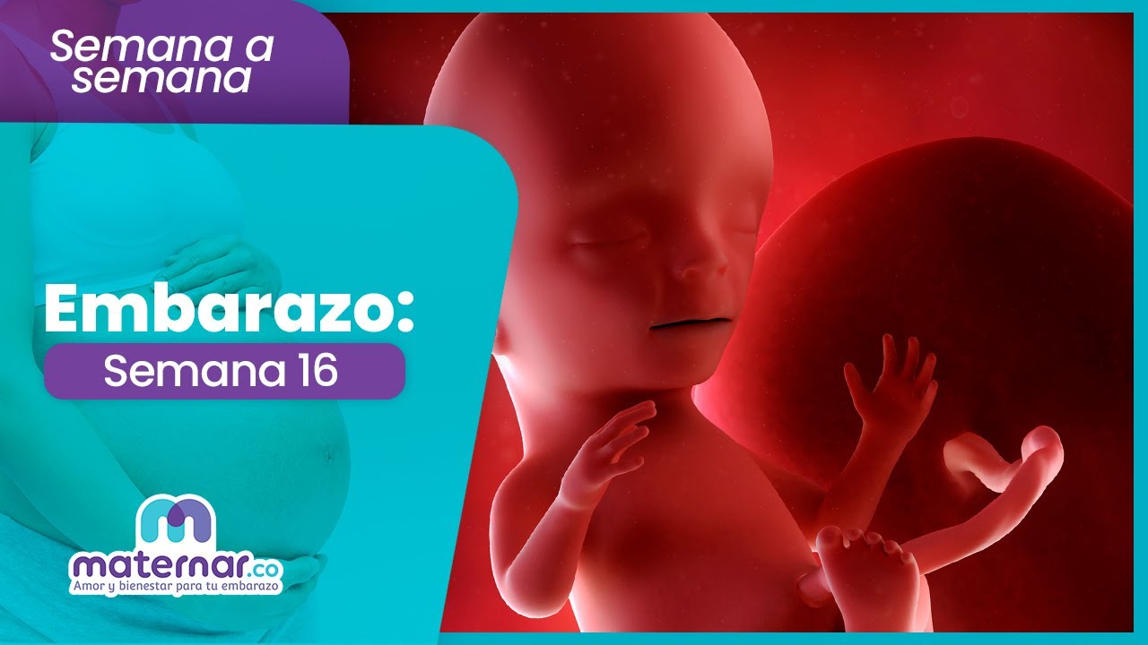 Semana 16 de embarazo: Vas a necesitar tener ya tu ropa de embarazada ...