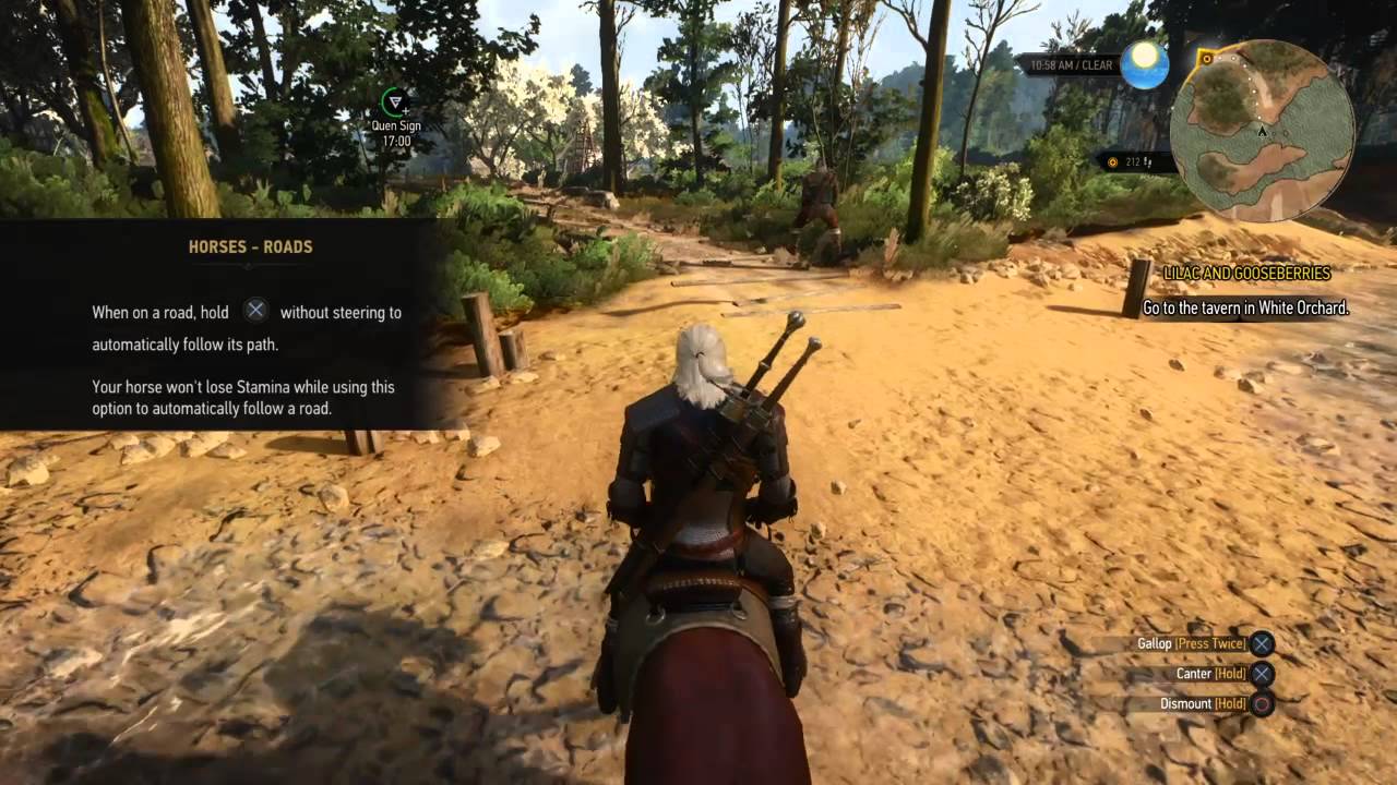 The Witcher 3 - The invisible pony - YouTube