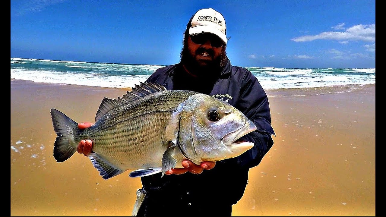 How to CATCH White MUSSELCRAKER from the SURF!!!!! - YouTube