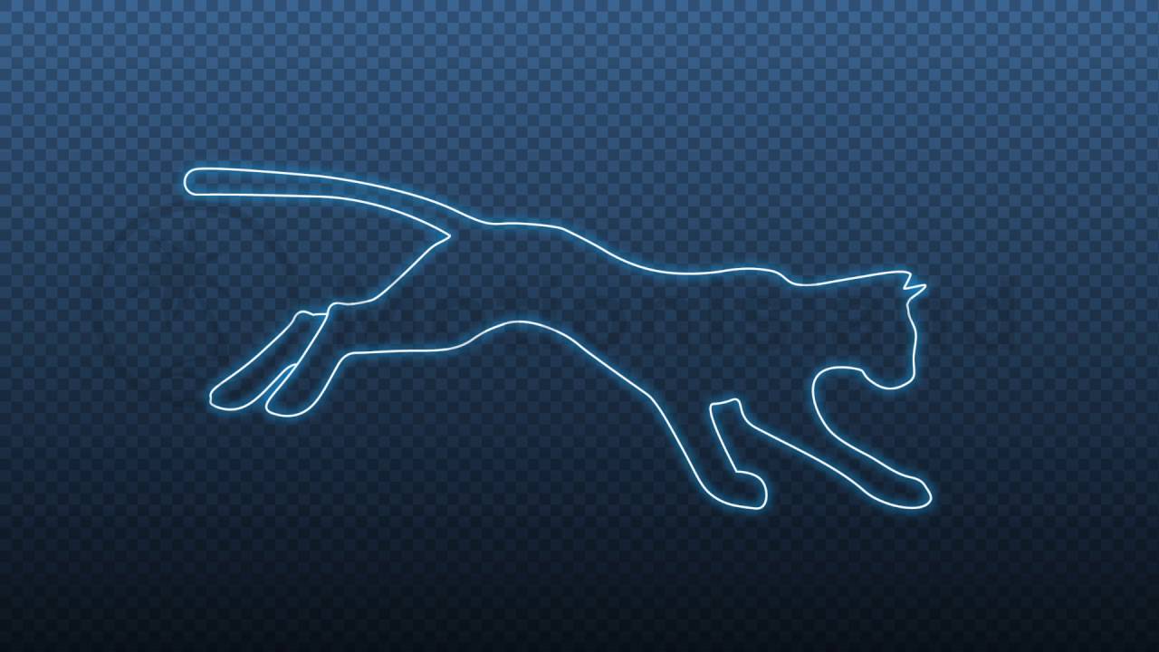 Cat running cycle Animation - After Effects Template Project - YouTube