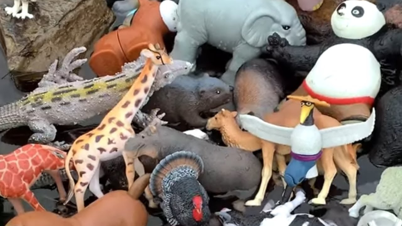 💦 Water Play Fun! Learn Animal Names with Toys for Kids - YouTube