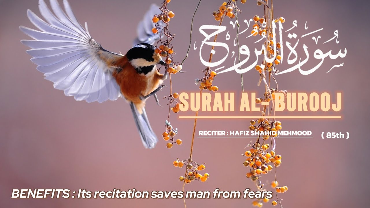 Surah Al Burooj Quran recitation Recited BY HAFIZ SHAHID MEMOOD ...