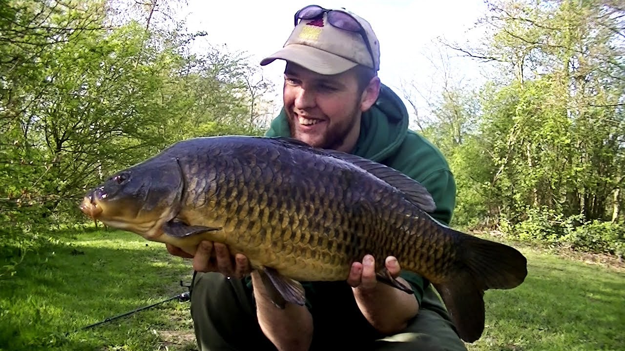 CarefulCarping, Episode 43, A Pretty Common Carp - YouTube