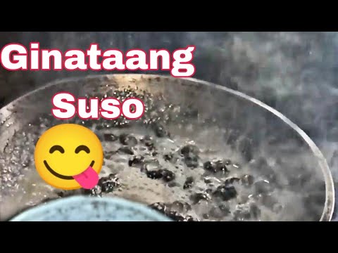 Ginataang Suso O Tabagwang😋Buhay Probinsya! - YouTube