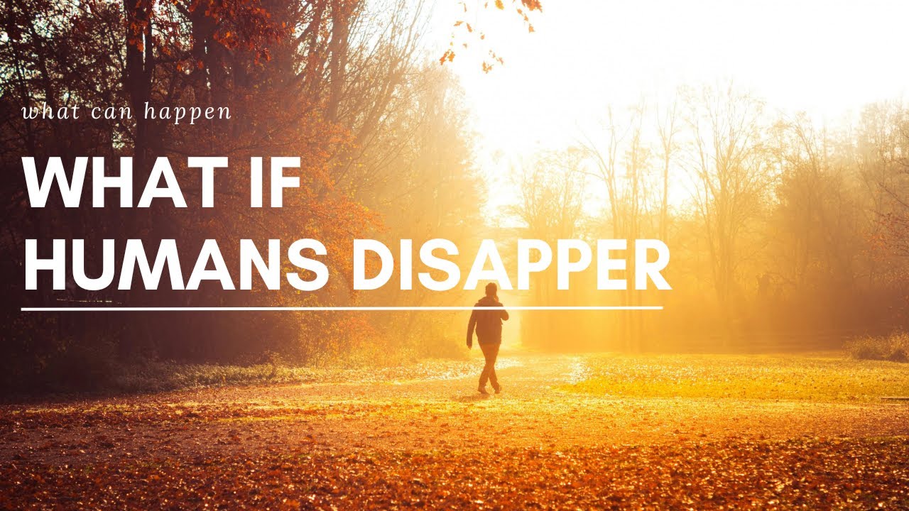 What if we humans disappear from the Earth - YouTube