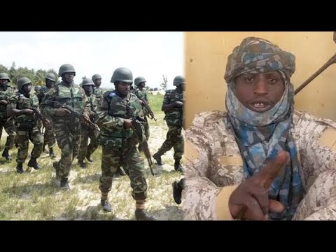 BREAKING‼️ Bandits Leader, Bello Turji's Arrest With 24 Hours Possible