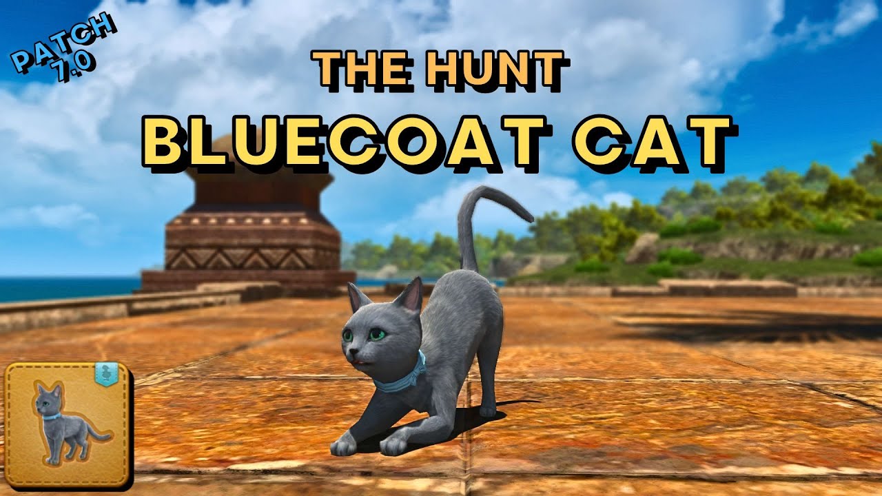 Bluecoat Cat - Minion Showcase | FFXIV 7.0 - YouTube