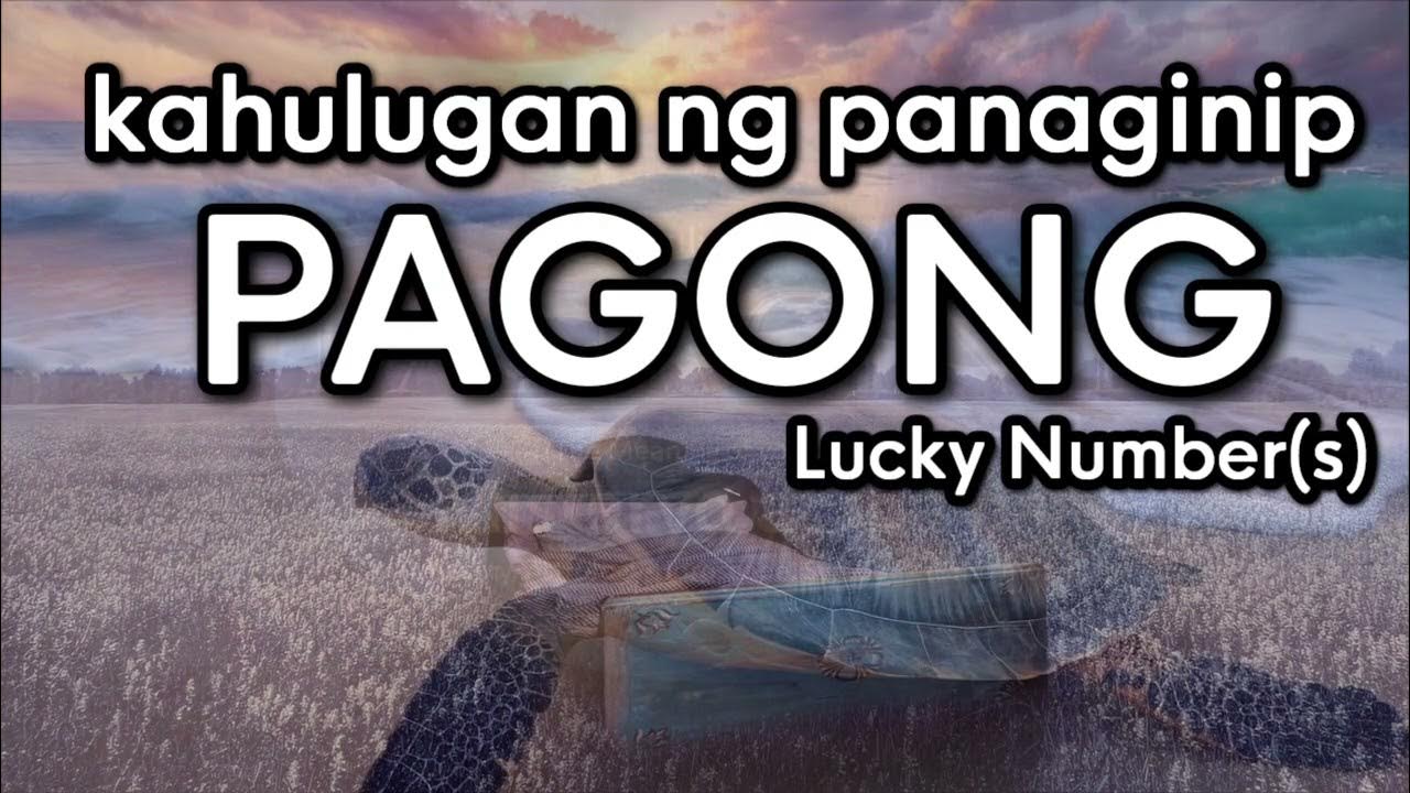 Kahulugan ng Pagong sa Panaginip | Anong Ibig Sabihin ng Panaginip | Turtle Dream Interpretation ...
