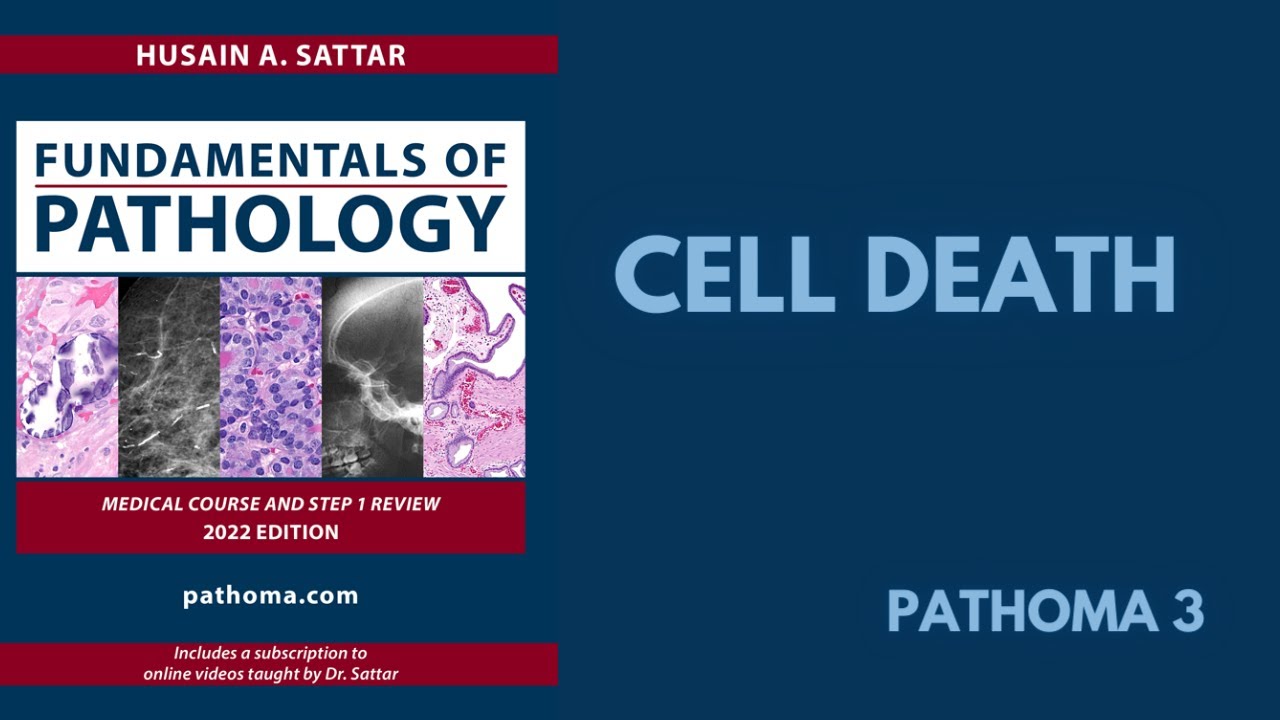 CELL DEATH ( Pathoma 3 ) - YouTube