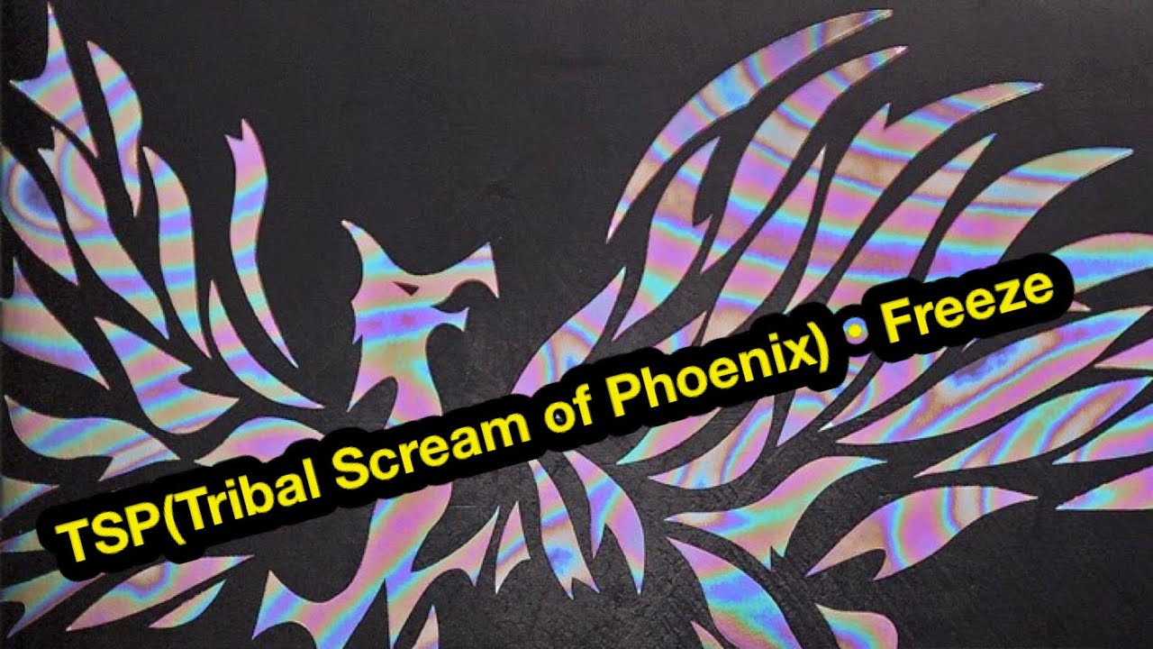 TSP(Tribal Scream of Phoenix)・Freeze(ベース耳コピ) - YouTube