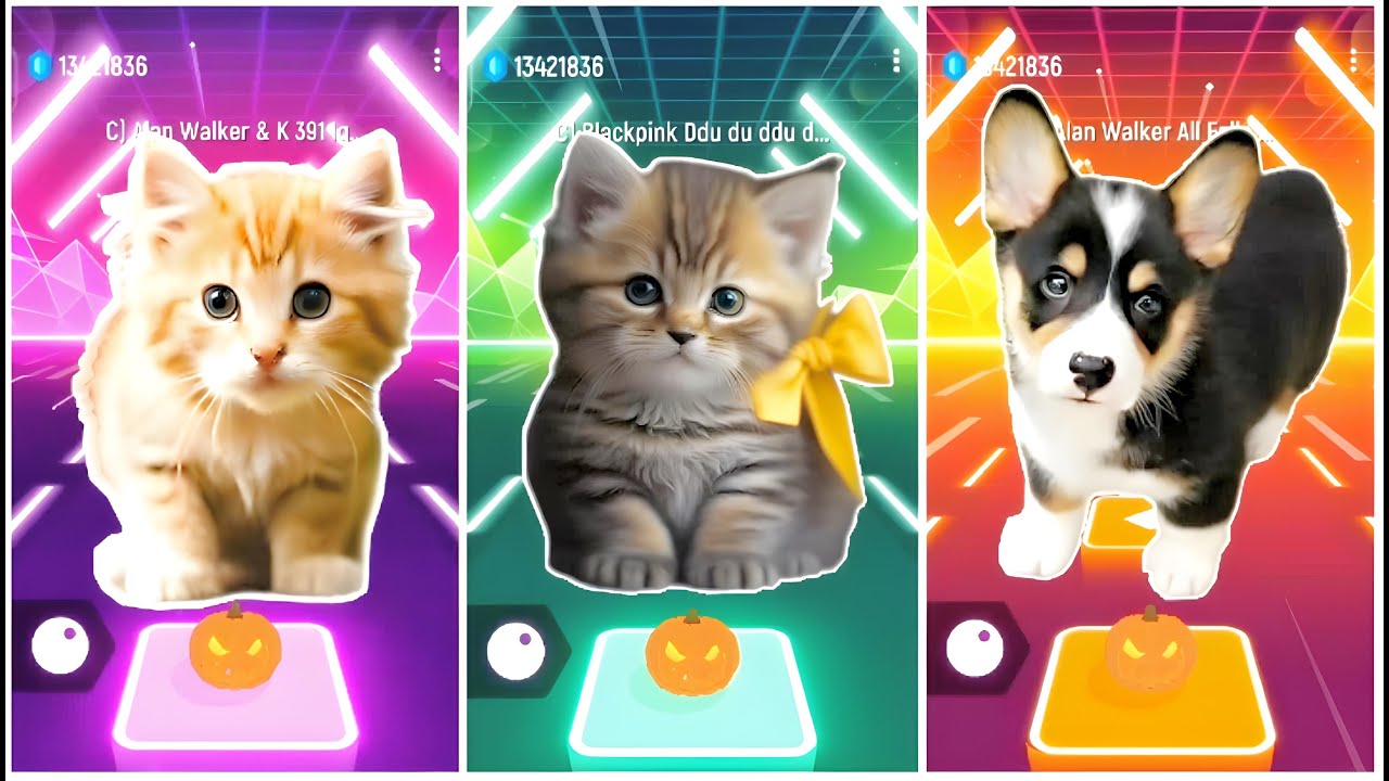 TILES HOP CUTE CATS & PUPPY DOG BATTLE | Ignite | BlackPink | Alan ...