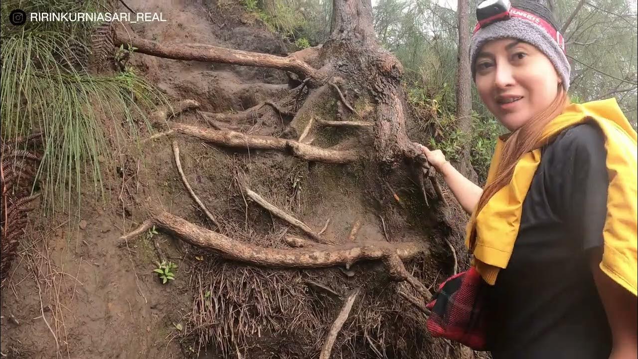 pendakian gunung buthak !! #Part 2 - YouTube