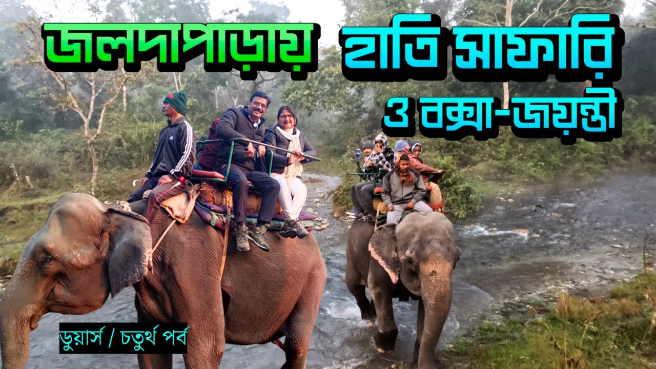 EP 4 । ডুয়ার্সে এই অভিজ্ঞতা ভোলার নয় । Jaldapara Elephant Safari ...