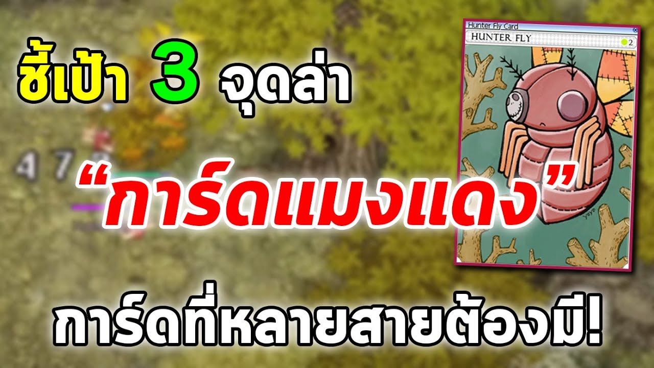 3 จุดฟาร์ม การ์ดแมงแดง (Hunter Fly) การ์ดดูดเลือดจำเป็นของ C3 ...