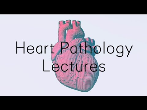 Heart Pathology 1 | Ischemic Heart Disease 1 - YouTube
