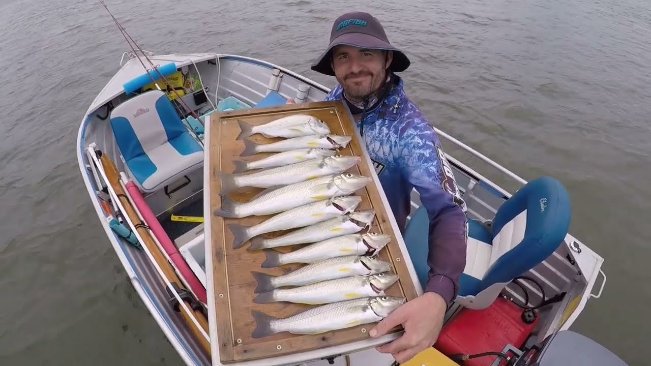 Summer Whiting, Gold Coast, October 2022 - YouTube