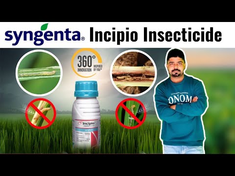 Incipio Insectiside । Syngenta Incipio । Isocycloseram 18%। New ...